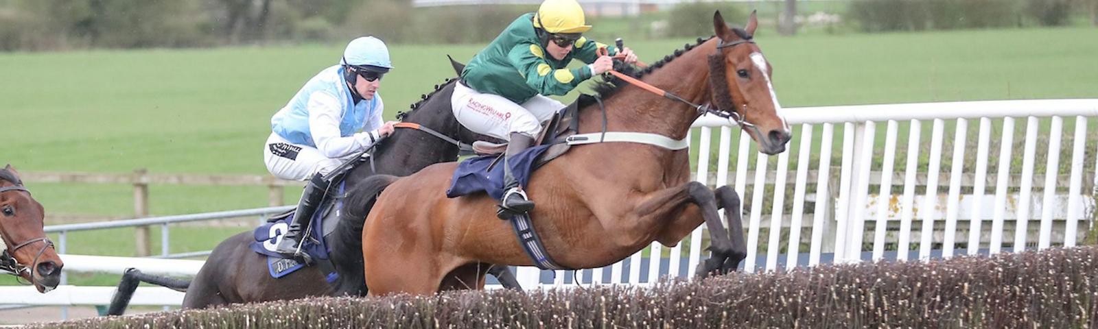 Sedgefield Racecourse | Sedgefield Races