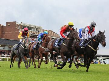 Sedgefield Car Boot Sale | Sedgefield Racecourse
