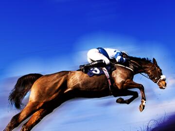 2025 Racing Fixtures Announced! | Sedgefield Racecourse