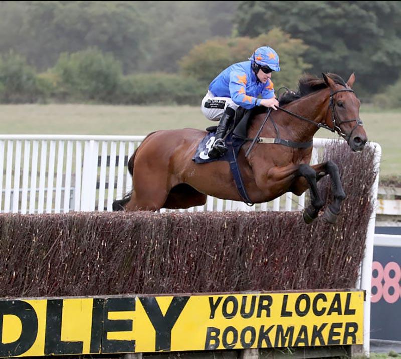 The Durham National | Sedgefield Racecourse