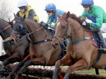 Sedgefield Racecourse | Sedgefield Races